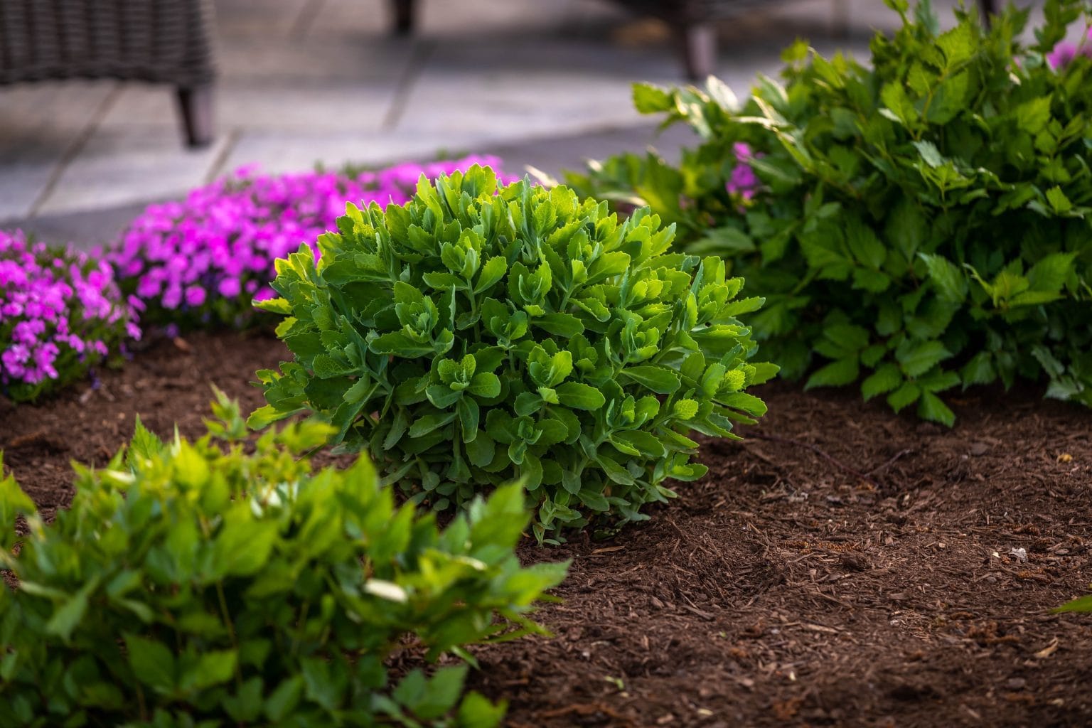 10 Front Yard Landscaping Ideas to Boost Curb Appeal