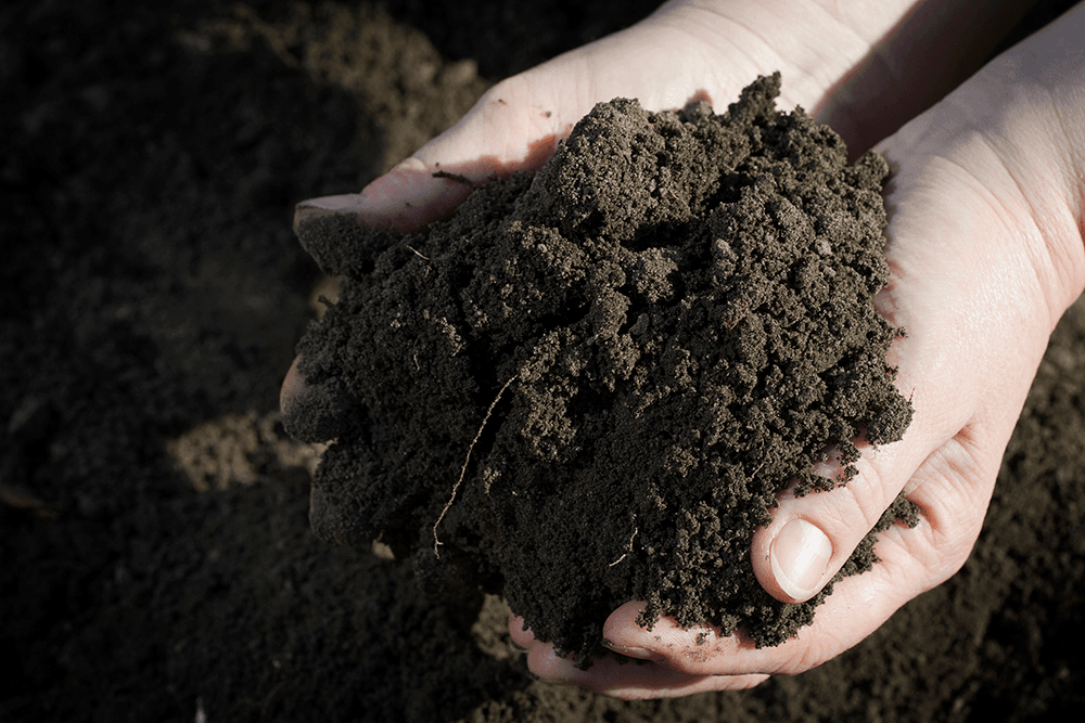 Soil Types in Ontario: What Every Homeowner Should Know Before Starting ...